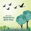 World Migratory Bird Day, Field of grass and flying birds symbol - free ...